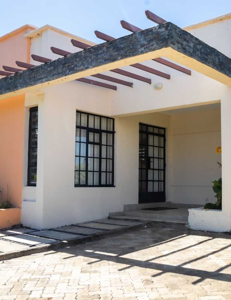 Building - M & Manus Construction